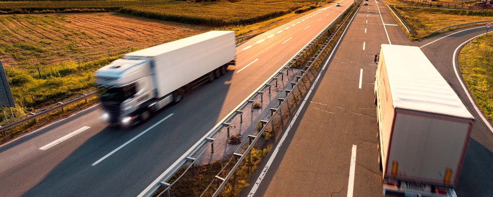 Morrison Freight awarded International Business of the Year | Morrison ...